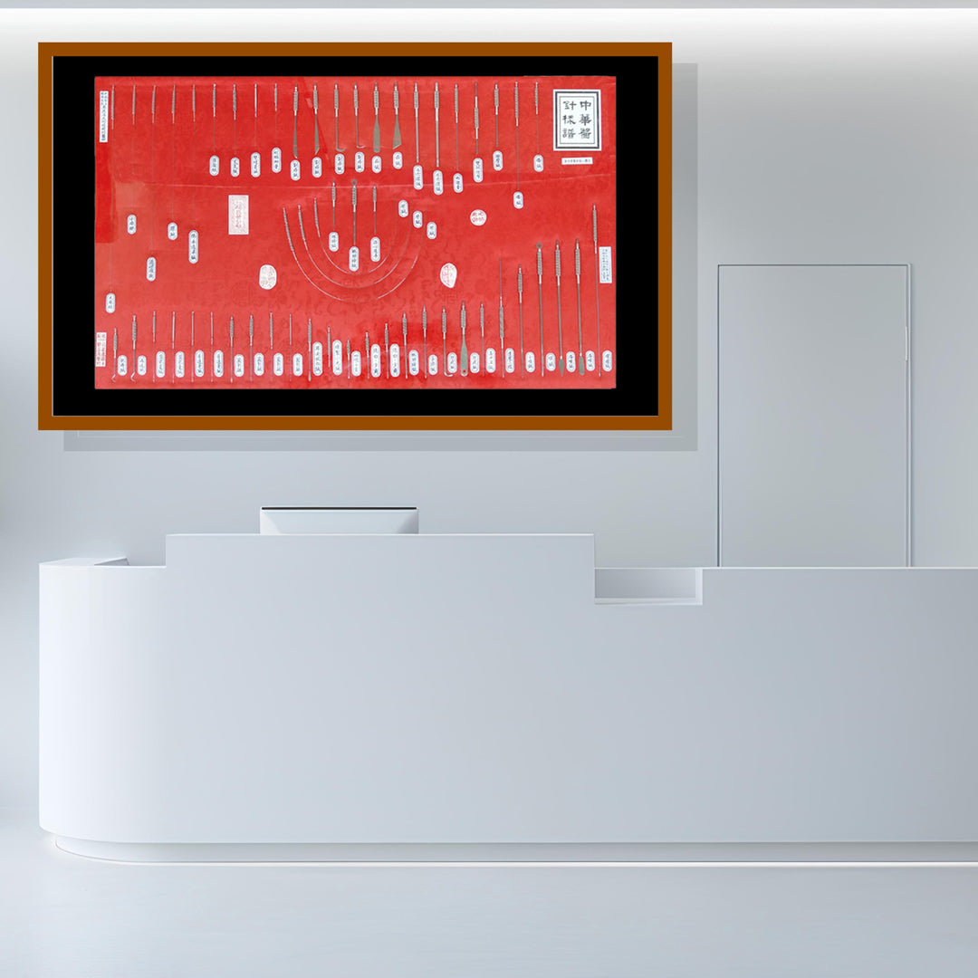 [NEW - SPECIAL GOLD FRAME] 54 PCS ANCIENT ACUPUNCTURE NEEDLES DISPLAY ...